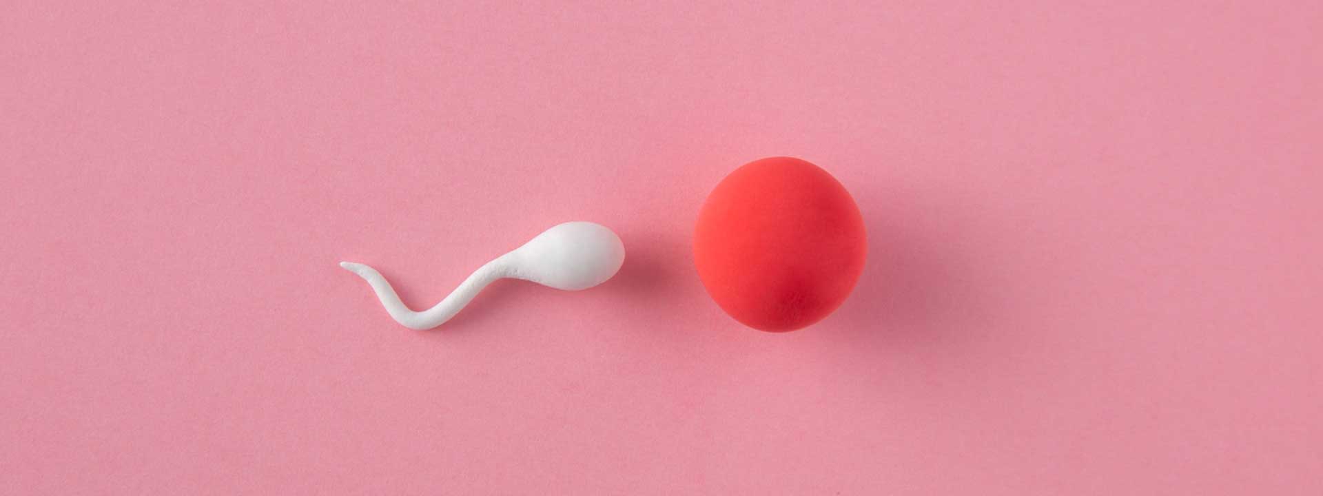 Centro Panamericano de la Mujer - Ginecología y Obstetricia